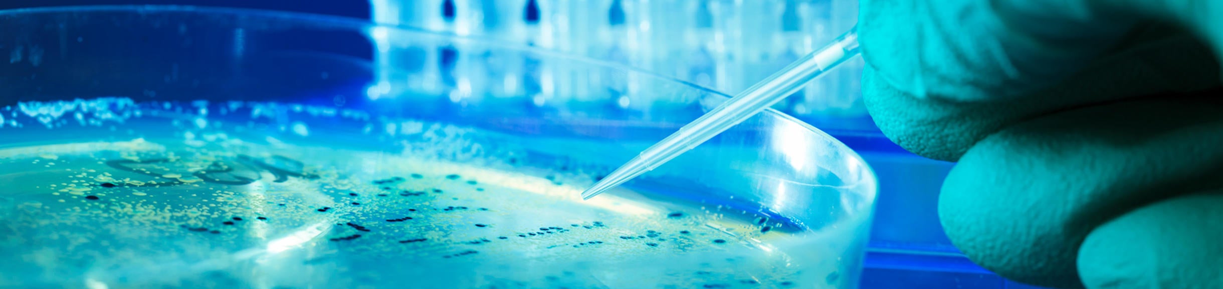 Faculty | Microbiology Graduate Program