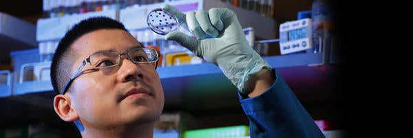 Grad student David Chen (c) UCR / Stan Lim | Microbiology Graduate Program