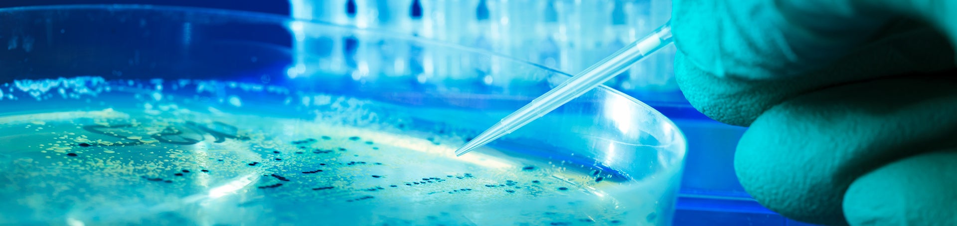 Faculty | Microbiology Graduate Program