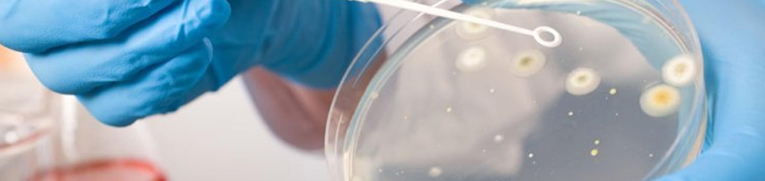 Graduate Students | Microbiology Graduate Program